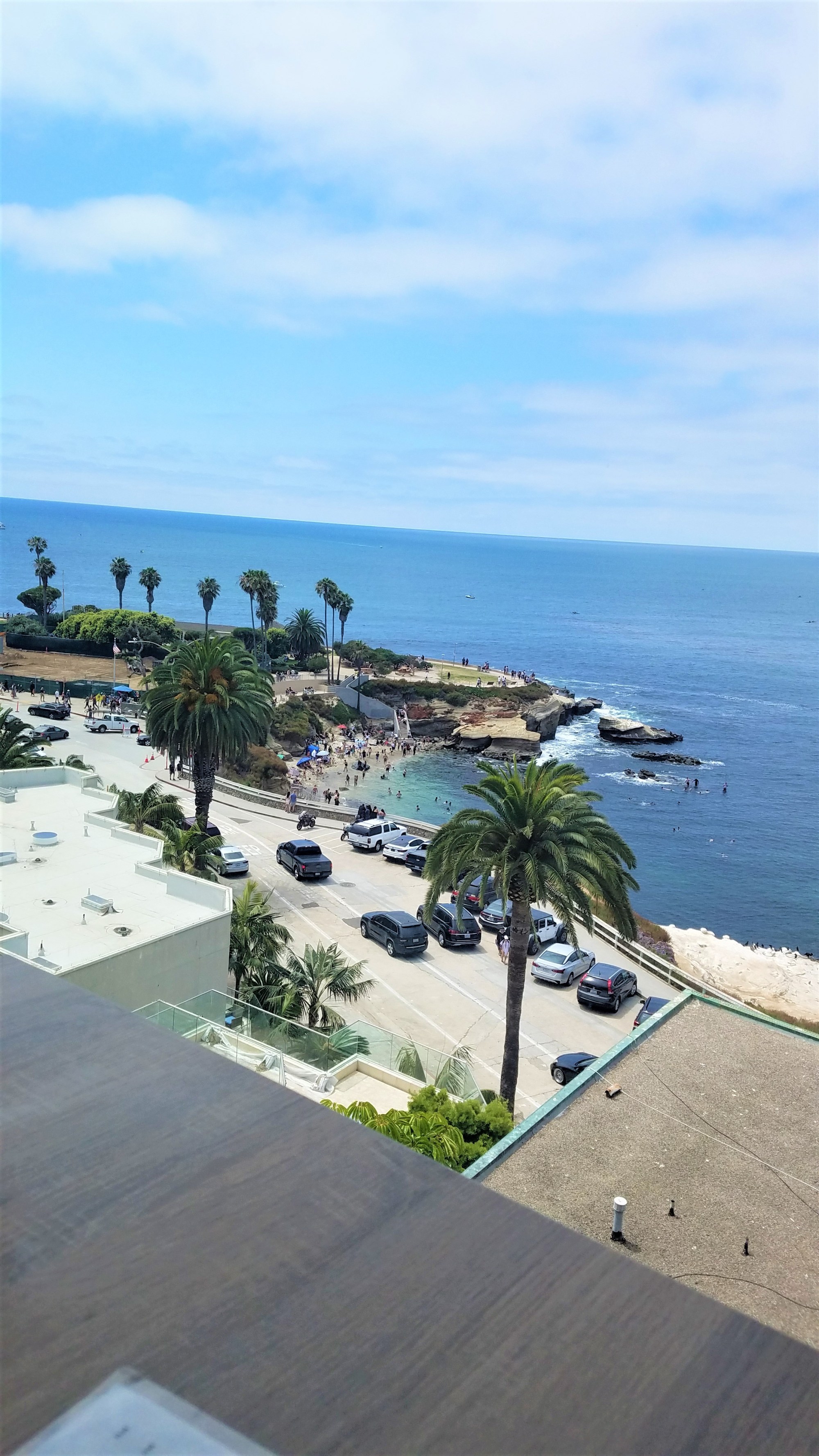 Harumama Buns and Sashimi – Rice Bucket Recipes