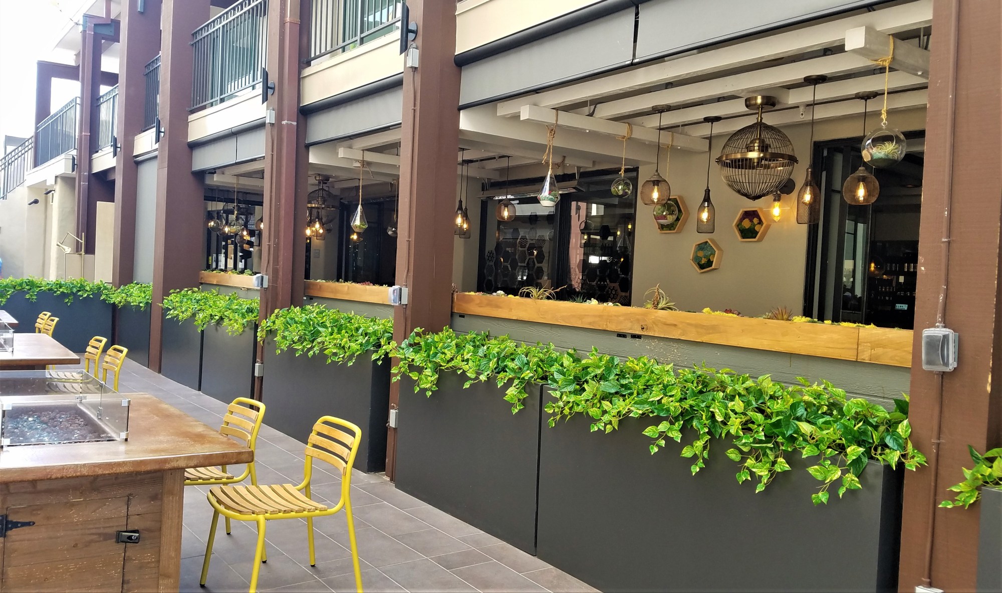 Harumama Buns and Sashimi – Rice Bucket Recipes