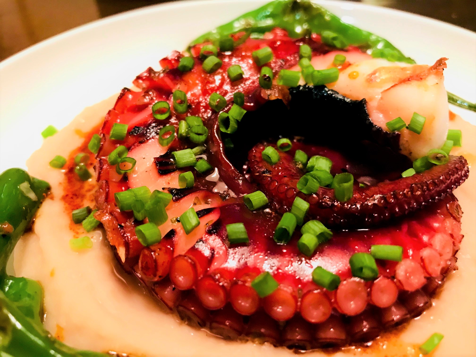 Grilled Octopus with White Bean Puree – Rice Bucket Recipes